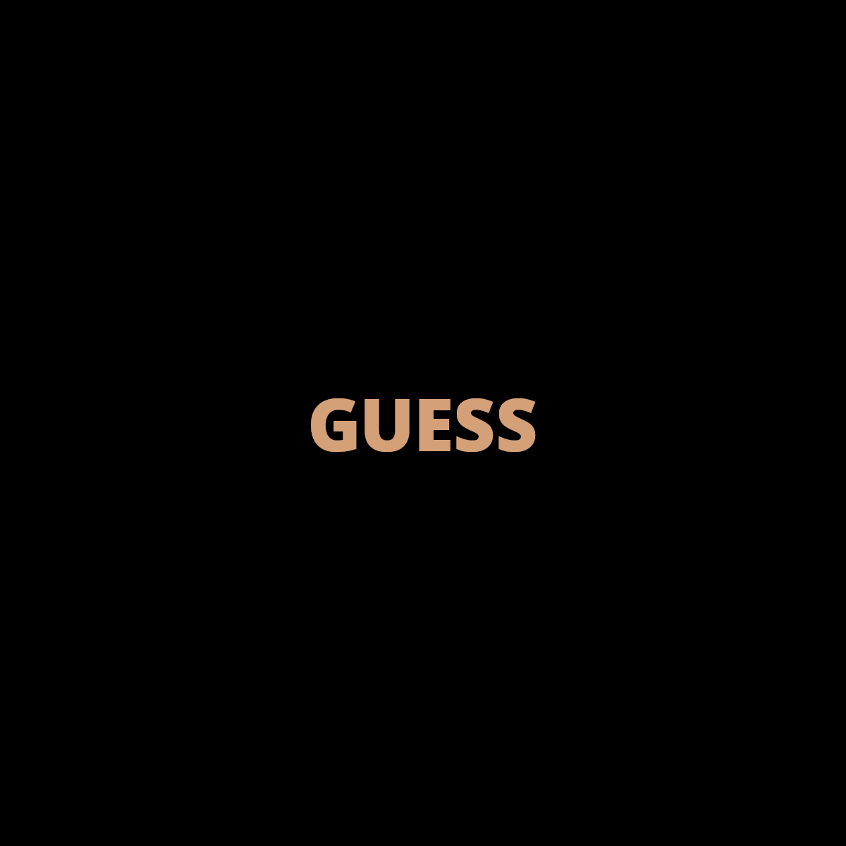 Guess - Dreiländergalerie